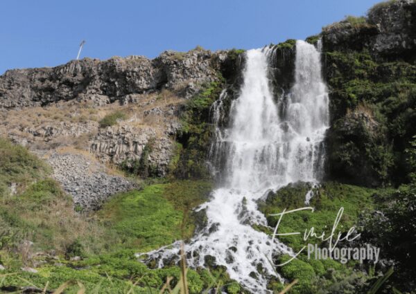 Boise to Twin Falls: The Perfect Idaho Road Trip (Kids-Friendly)