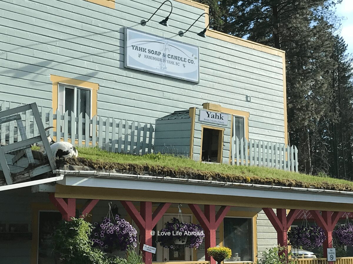 Kootenay Road Trip to Discover the 🇨🇦 Rockies’ Hidden Gem