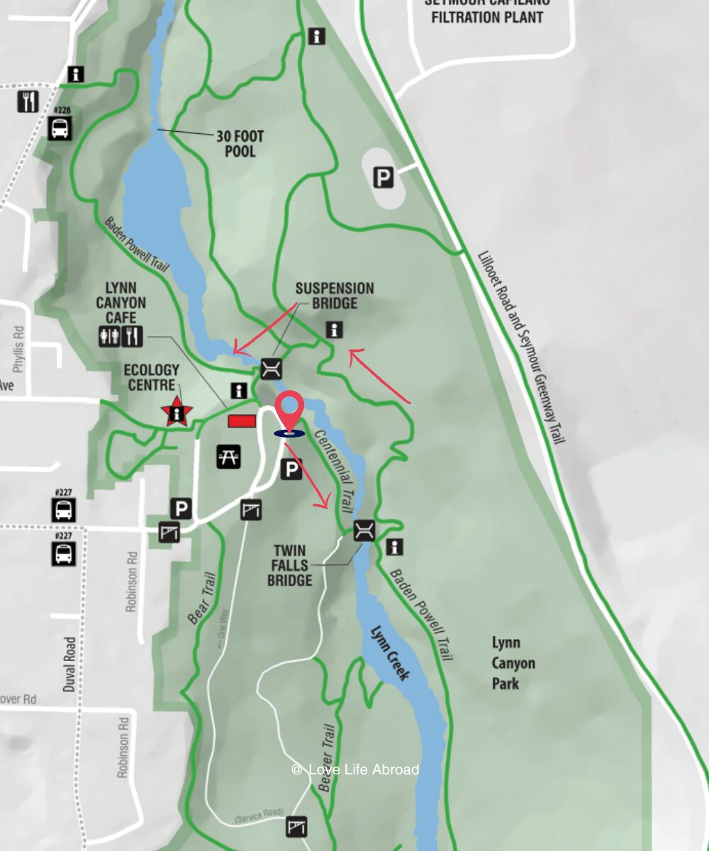 Vancouver in the Winter: A Detailed Itinerary for Families