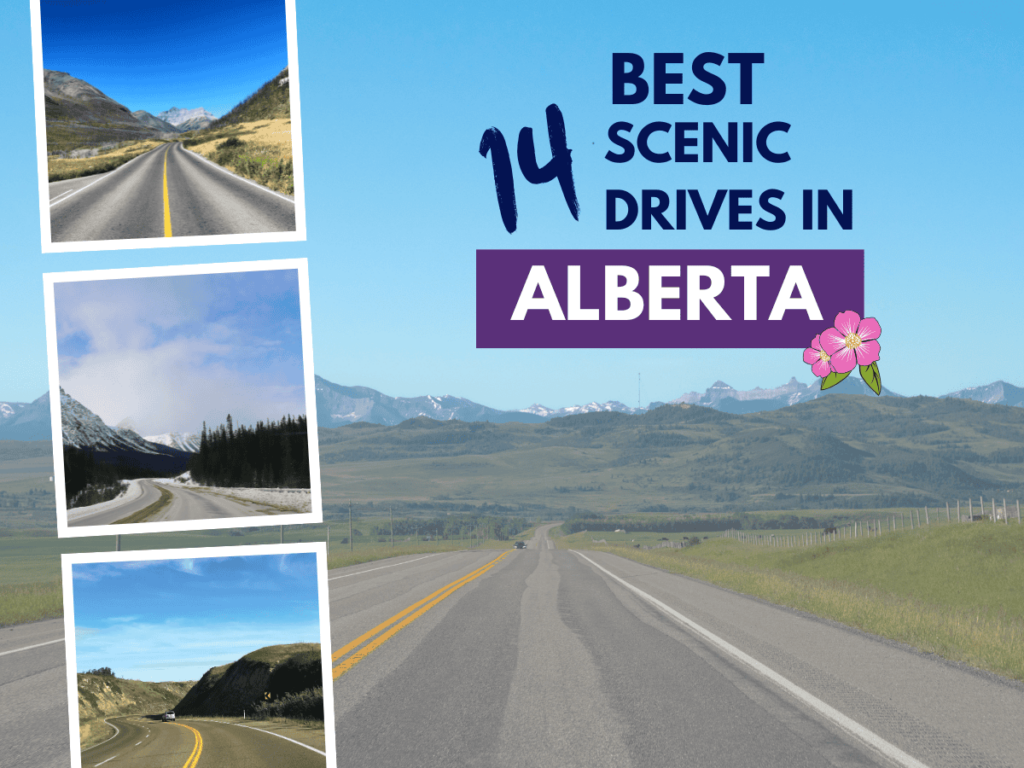 14 Best Scenic Roads in Alberta for a Family Road Trip